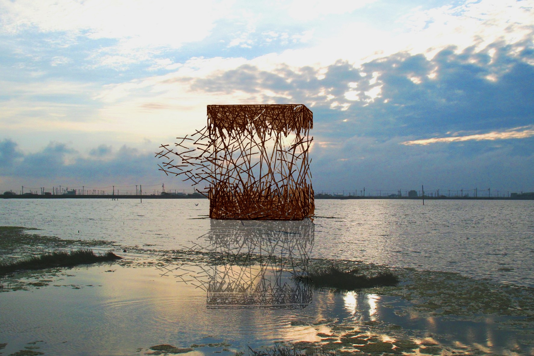 Bringing Climate Action Art to Asian Wetlands | UNFCCC