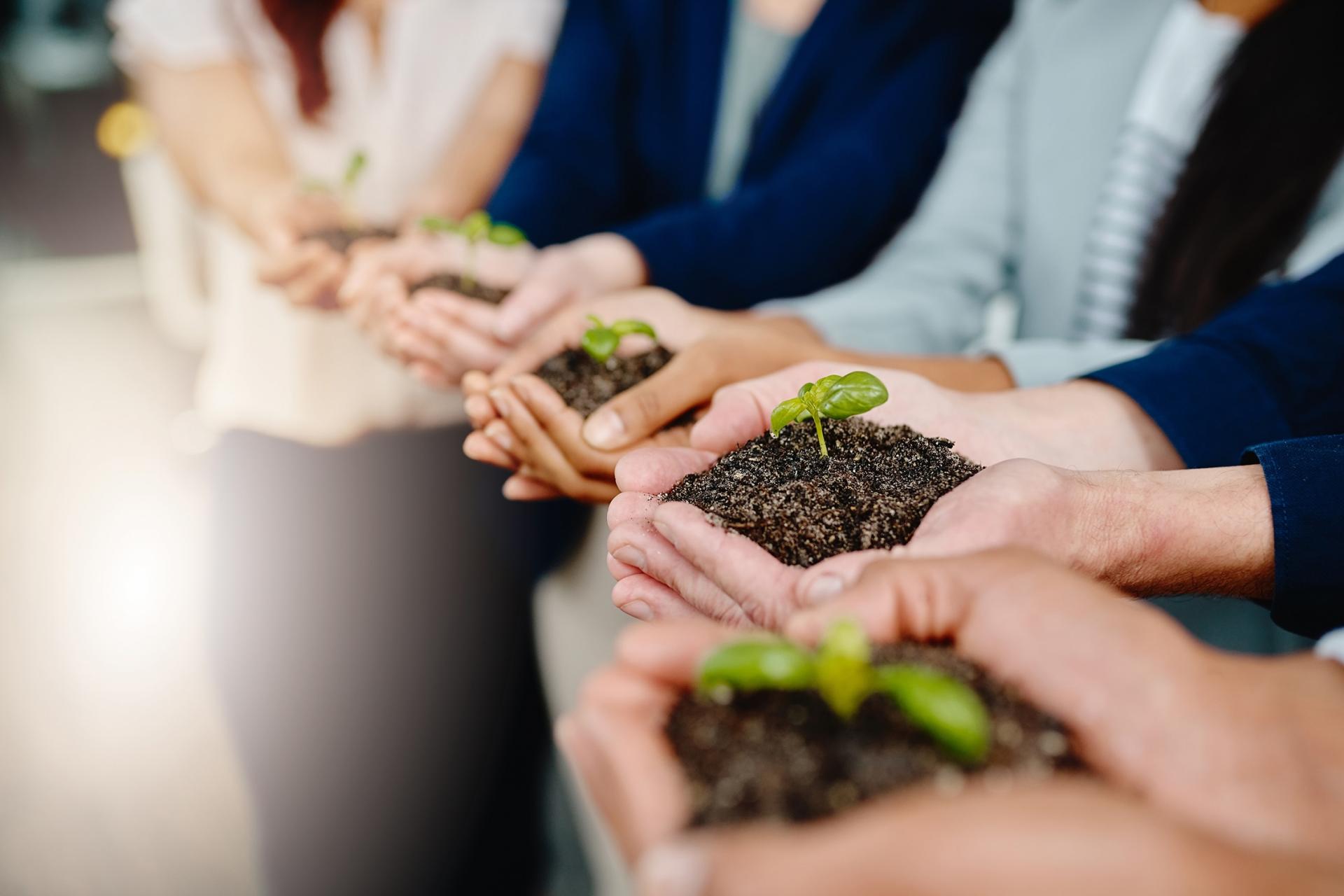 Climate friendly investment | UNFCCC