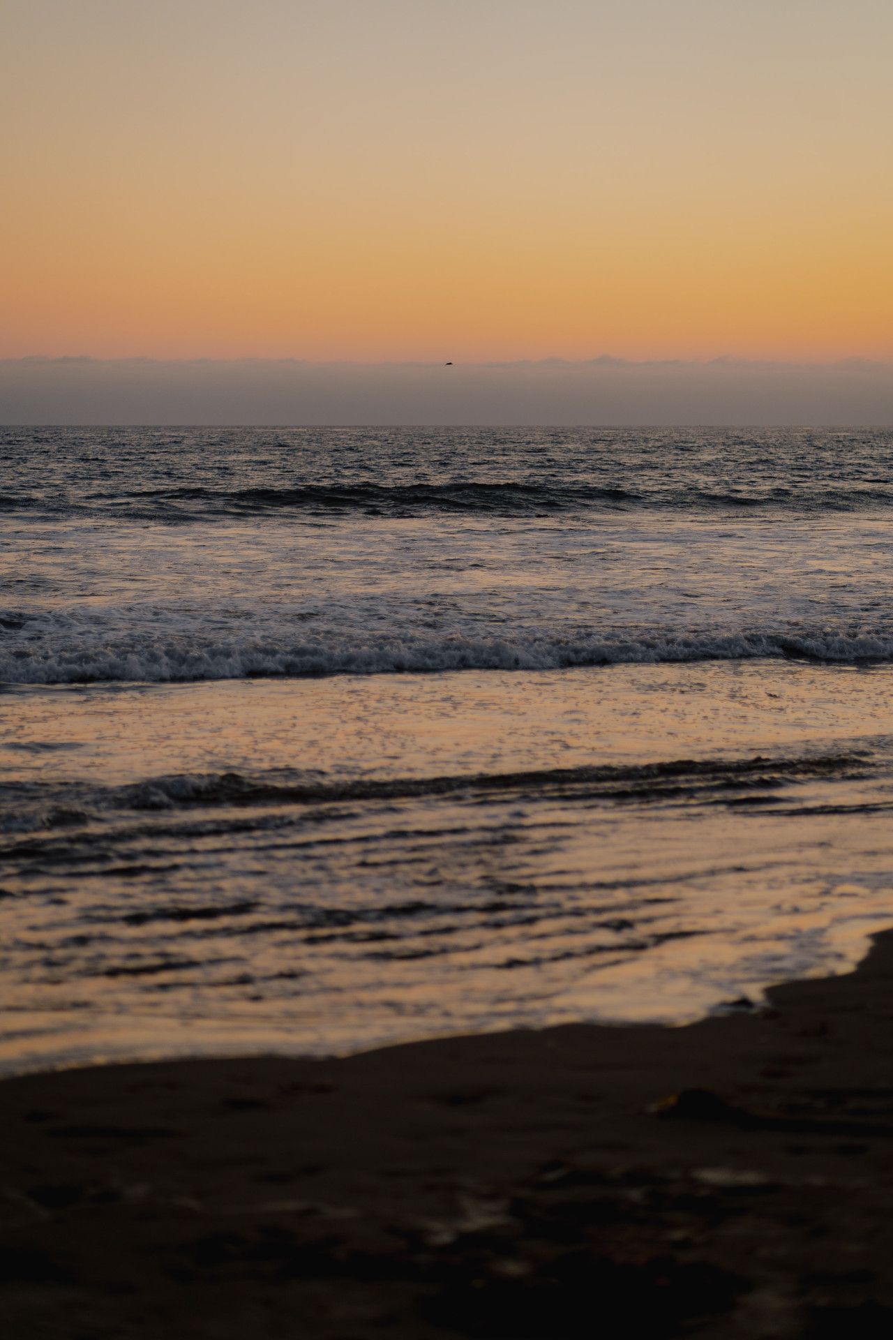 Test image beach | UNFCCC