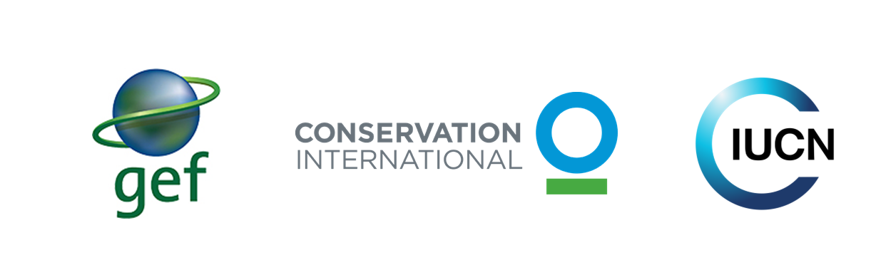 Inclusive Partnerships to Address the Climate and Biodiversity Crisis ...