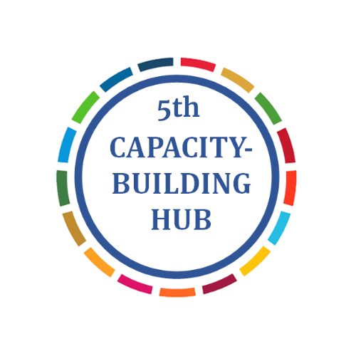 5th Capacity-building Hub | UNFCCC