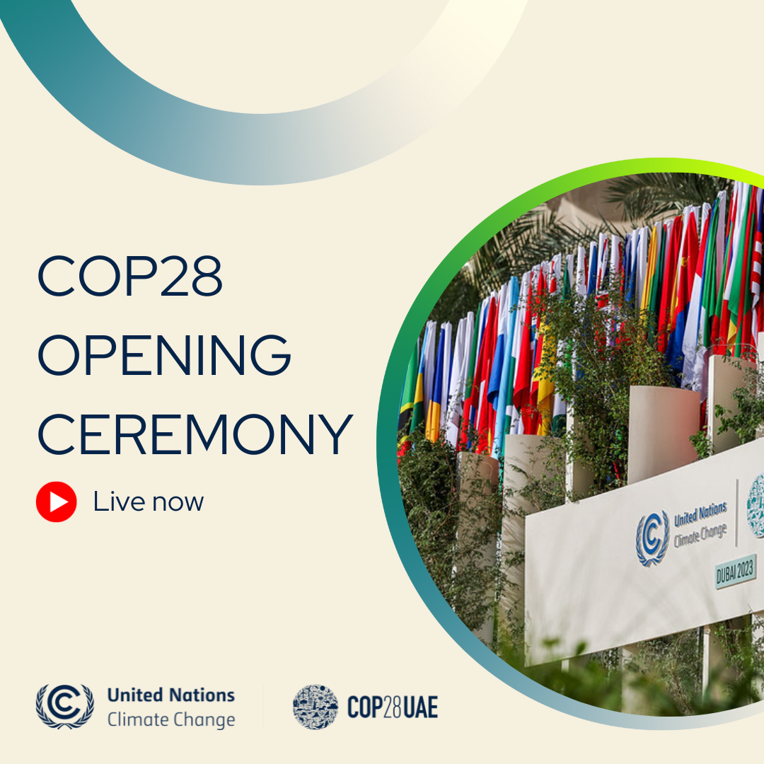 COP 28 blog | UNFCCC