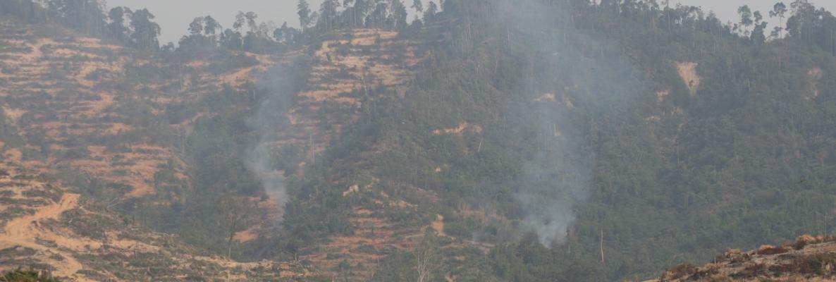 NASA CO2 Map Reveals Impact of Forest Clearance | UNFCCC