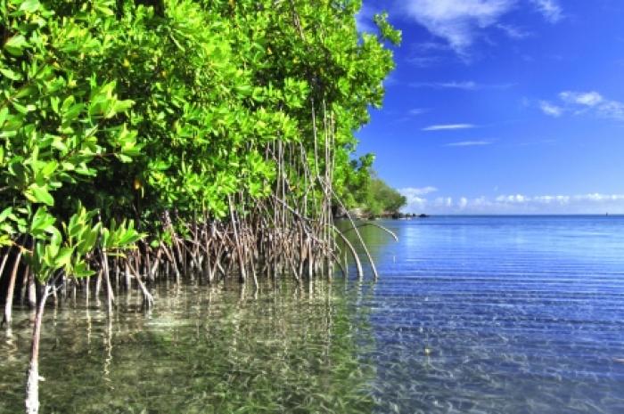 Italy to host World Environment Day: consume with care for a ...