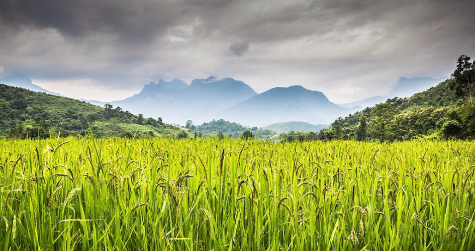 Fondo Verde para el Clima acreditó a siete entidades | CMNUCC