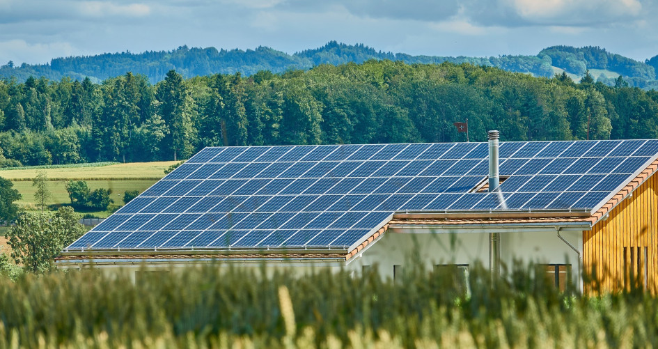 Climate Neutral Now Initiative Reaches 200-Participant Milestone | UNFCCC