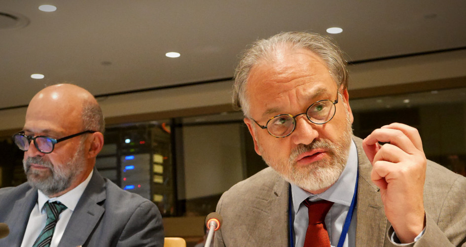SBSTA Chair Calls for Rapid Implementation and Climate Ambition at ...