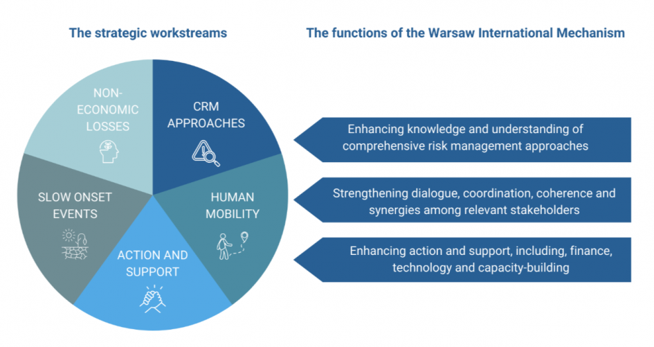 The Executive Committee of the Warsaw International Mechanism for Loss ...