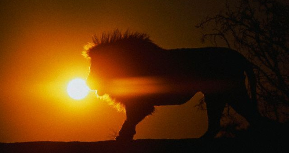 Sun Rising on African Solar Revolution | UNFCCC