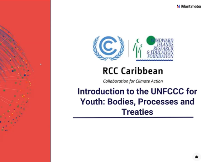 Introduction to the UNFCCC for youth | UNFCCC